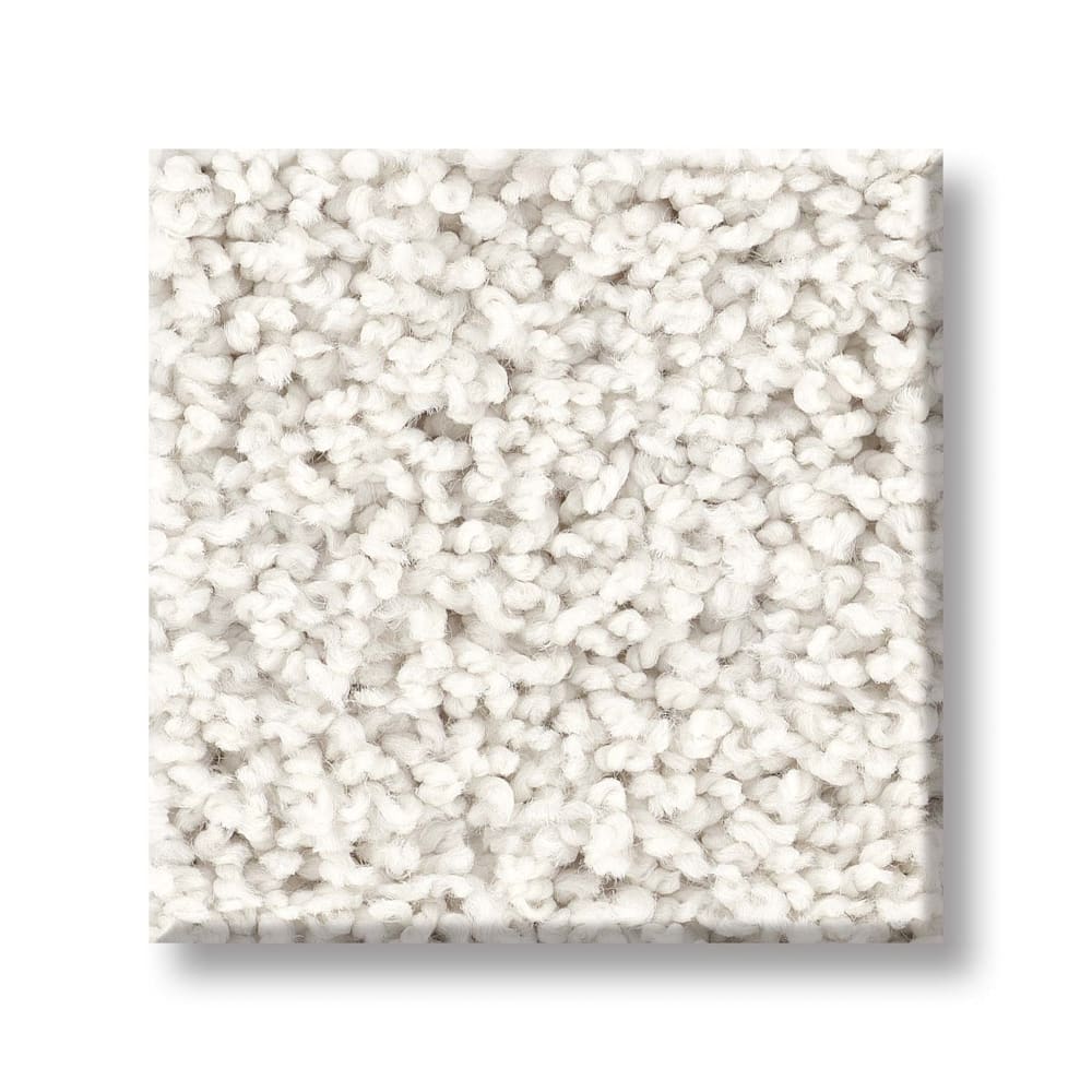Shaw Mount Coulson Eggshell Texture Carpet | LL Flooring